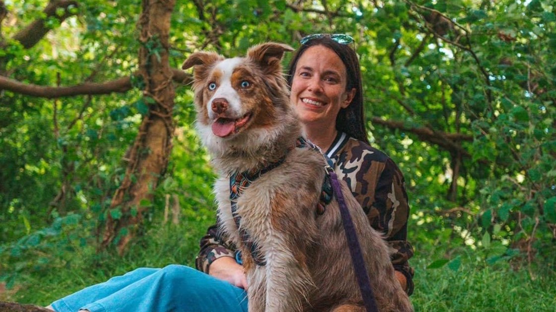 Jennifer Harding is fundraising for Lluest Horse and Pony Trust