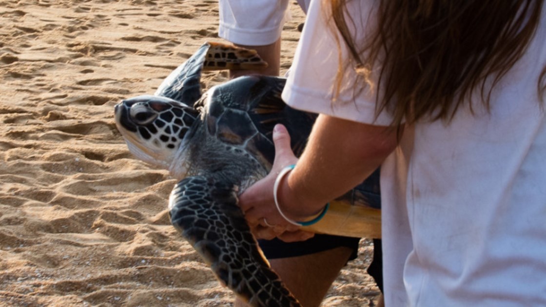 Sophie Down is fundraising for Travelteer Impact