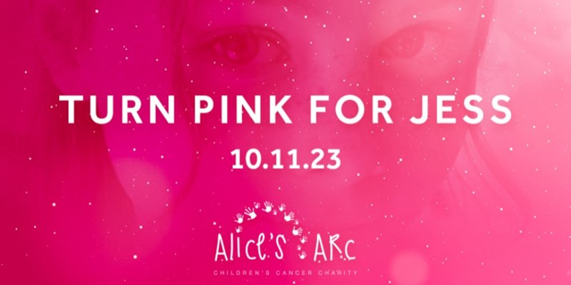 plan com is fundraising for Alice's Arc