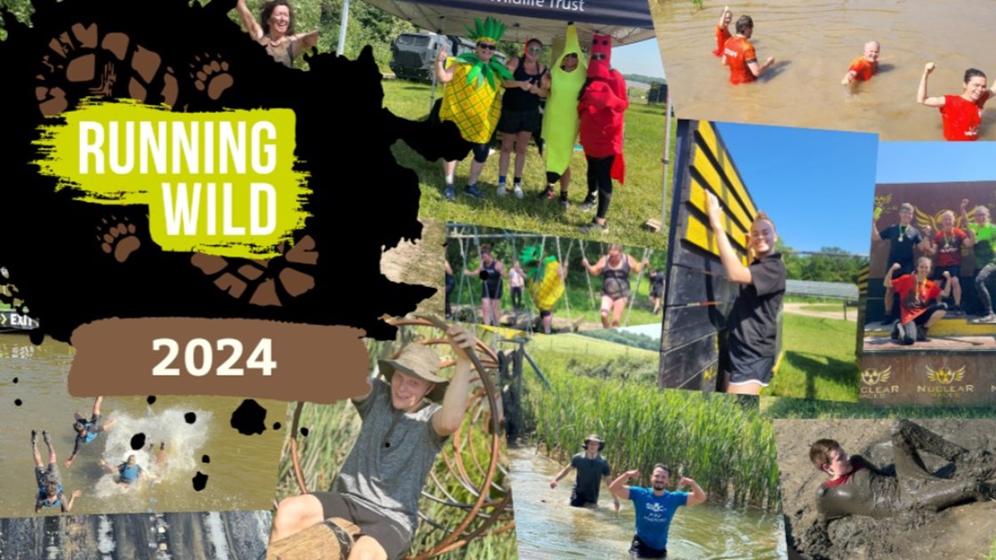 Running Wild 2024 - JustGiving