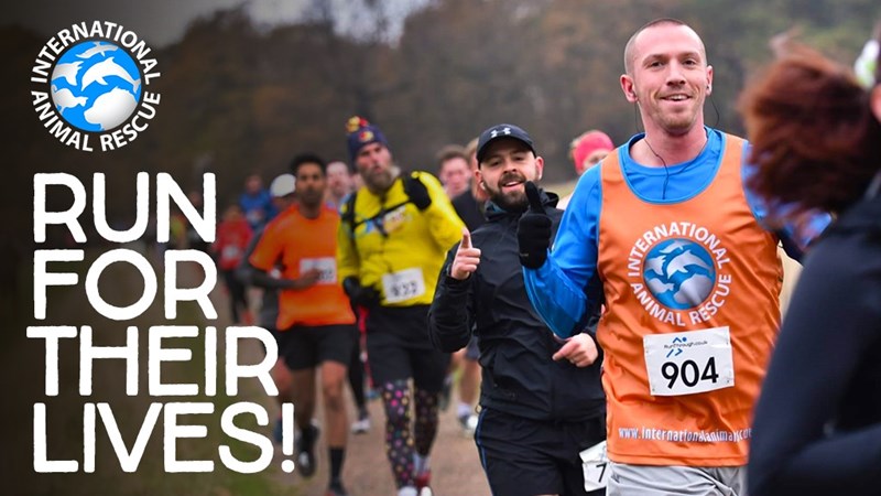 RUN FOR THEIR LIVES 2022 - JustGiving
