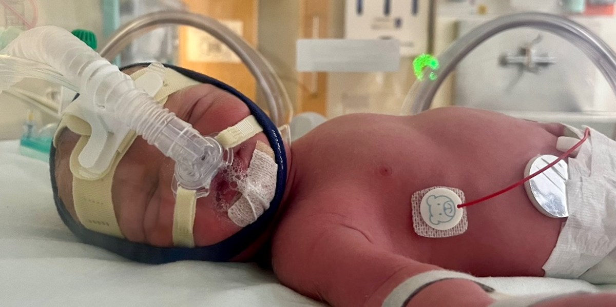 Pippa and Joel Ingram is fundraising for Leo's