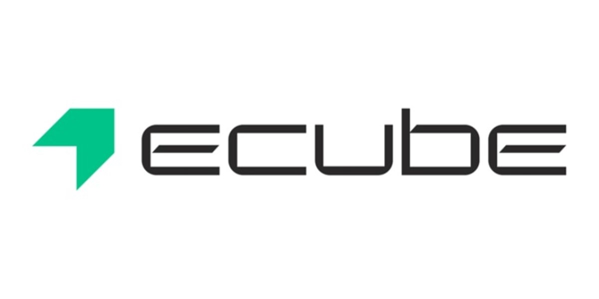 ecube Solutions is fundraising for Marie Curie