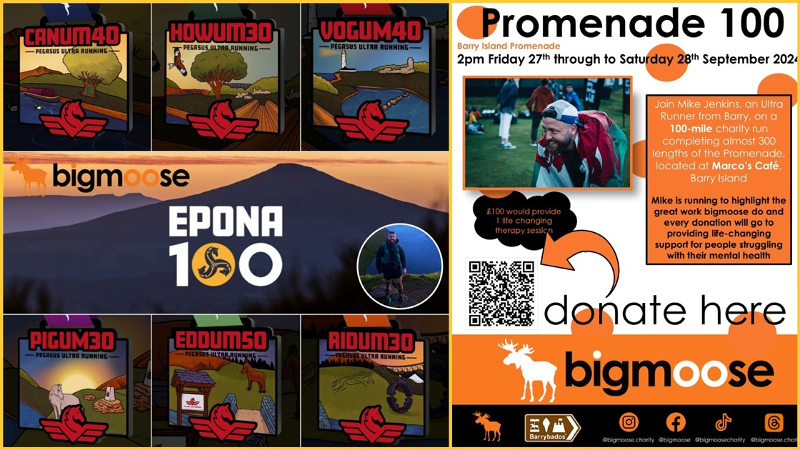 Michael Jenkins is fundraising for bigmoose