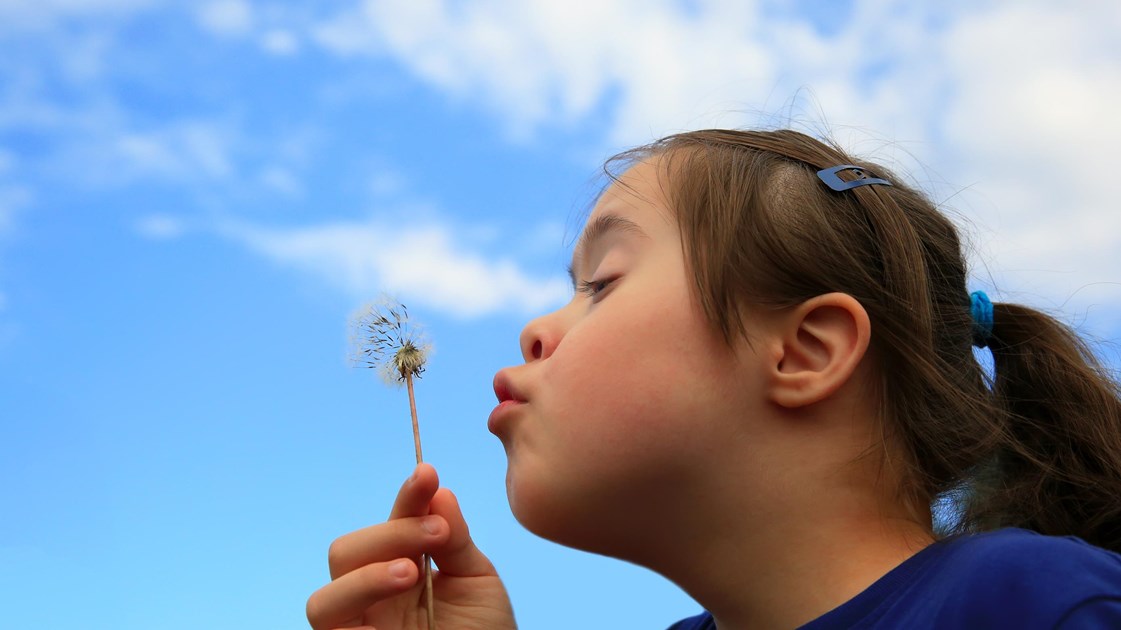 Mariam Kayani is fundraising for IPSEA (Independent Provider of Special ...