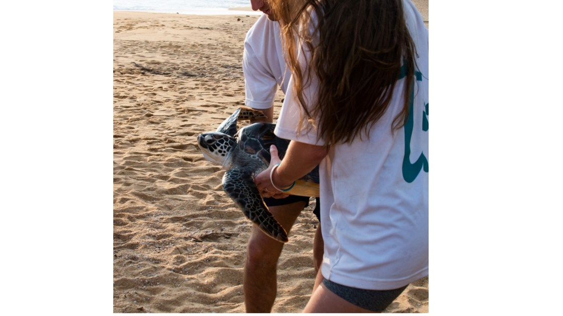 Semi Mordo Mizrahi is fundraising for Travelteer Impact