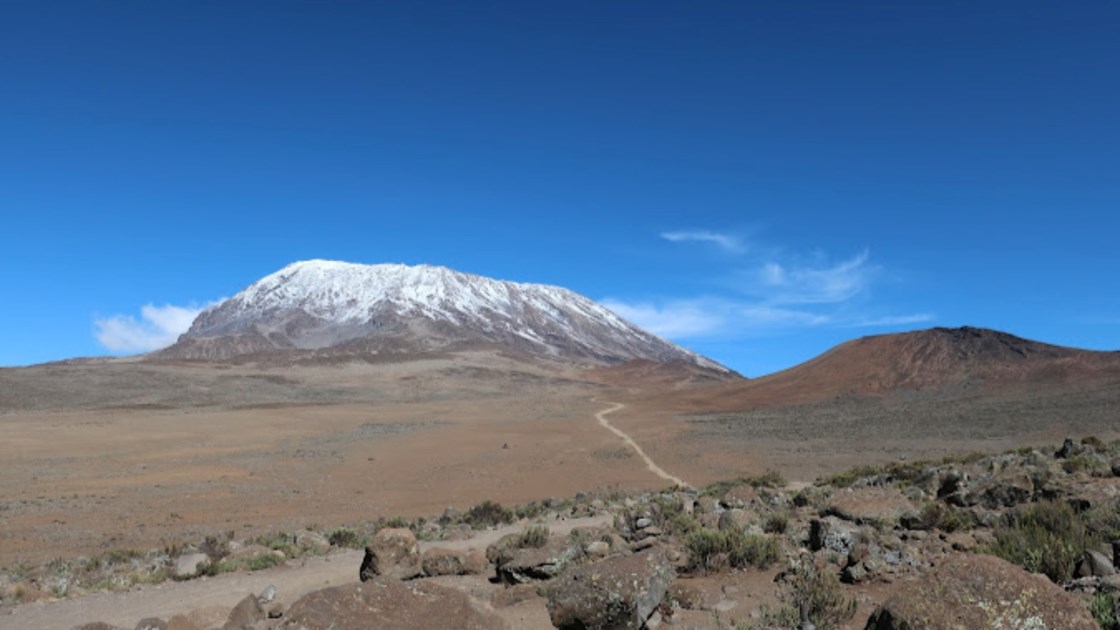 Maggie Chadwick is fundraising for South Cleveland Heart Fund