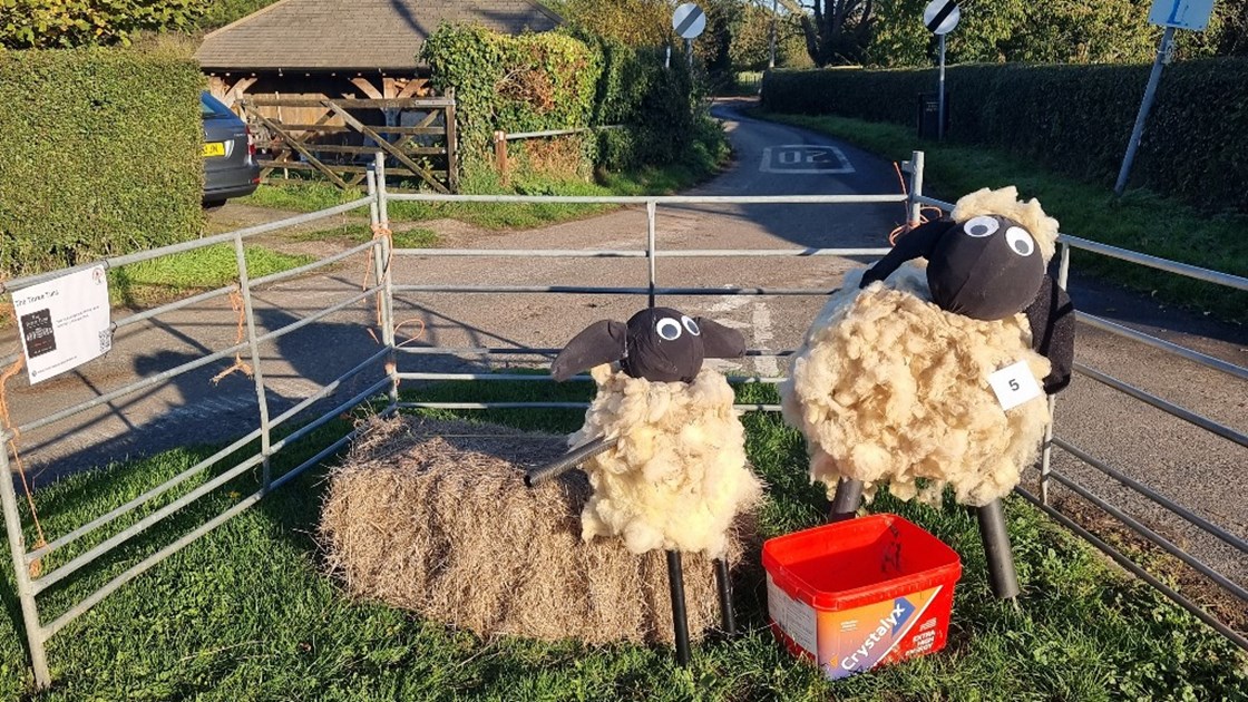 Lower Halstow Scarecrow Trail 2025 - JustGiving