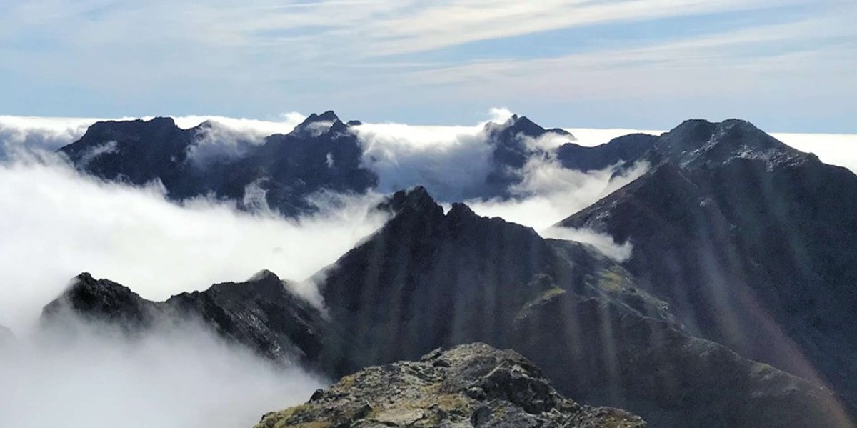 David Wilkinson is fundraising for My Name'5 Doddie Foundation