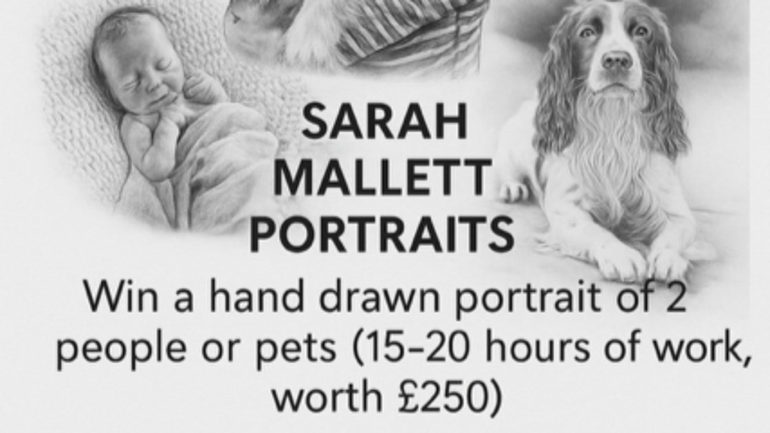 Sarah Mallett Portrait Raffle - JustGiving