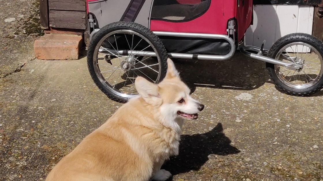 Peter and Dotty walk the Pilgrims Way - JustGiving