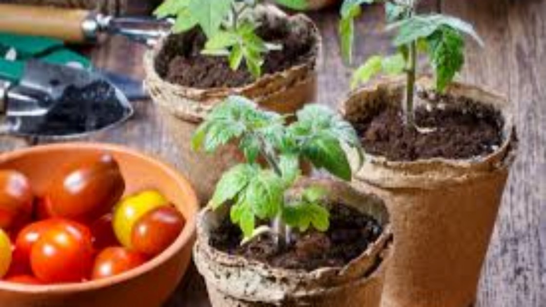 Annabel Roberts is fundraising for Mind