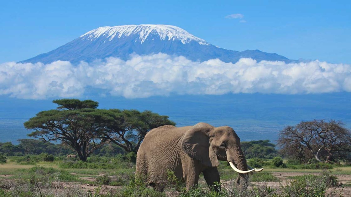 Gabriel Mead is fundraising for Teenage Cancer Trust