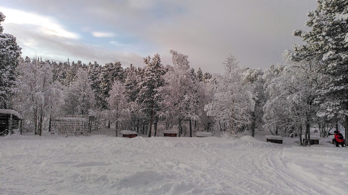 Team fundraising for National Literacy Trust is fundraising for ...