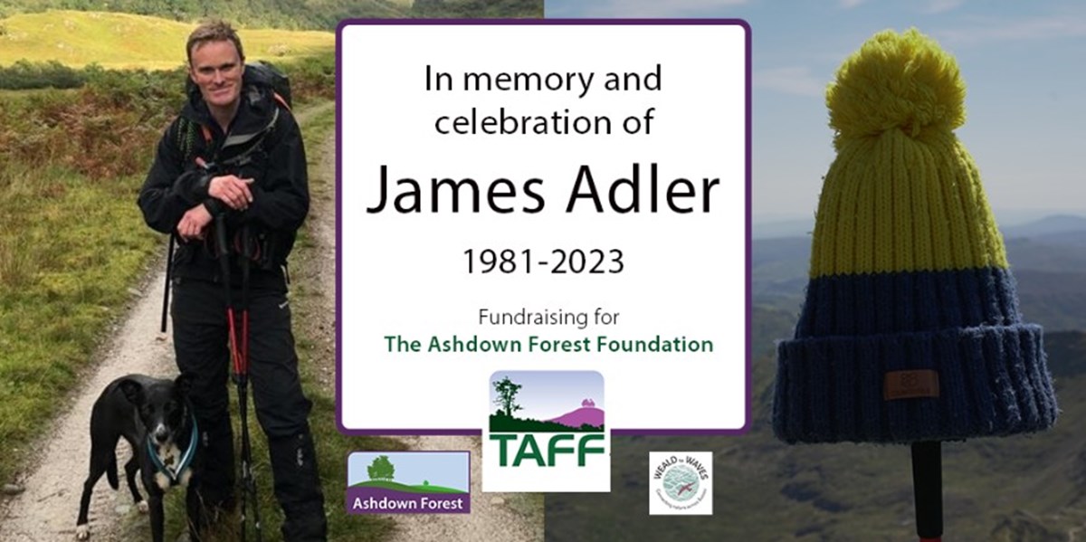 The Ashdown Forest Foundation is fundraising for The Ashdown Forest ...