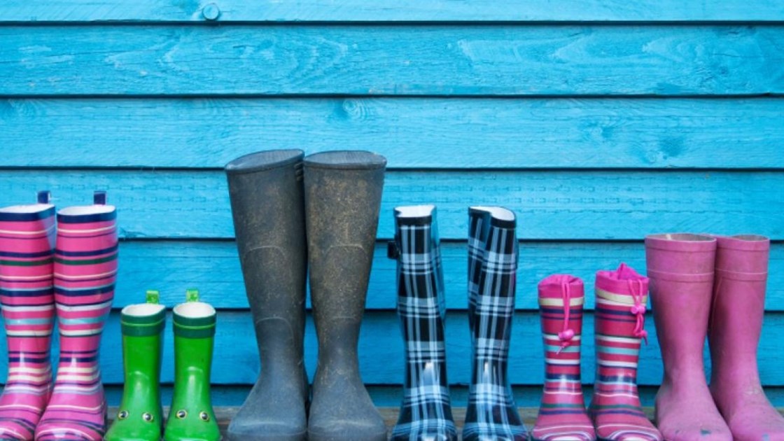 Welly Walk 2023 - JustGiving