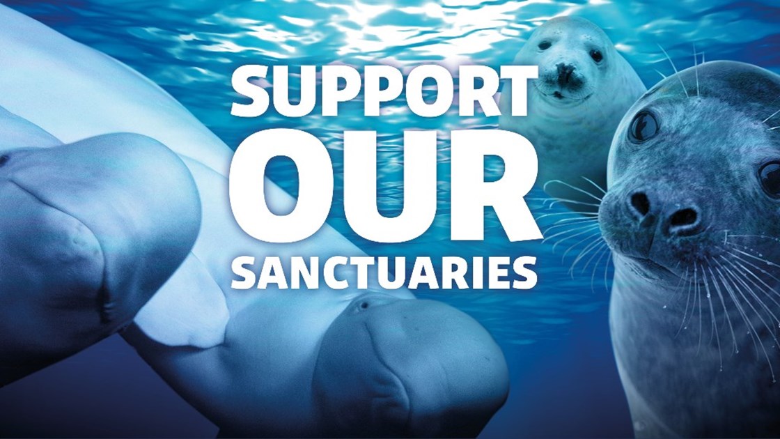 Support Our Sanctuaries - JustGiving