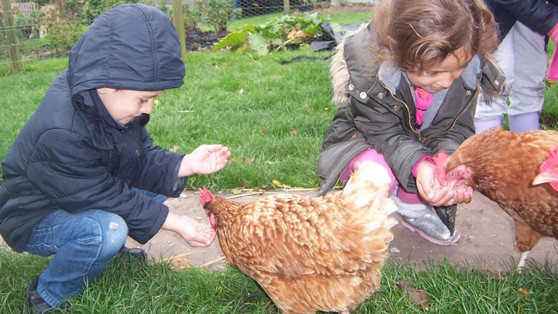 Grafton Group Boundary House is fundraising for Dodford Children's Farm
