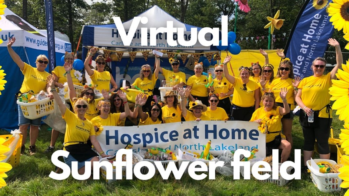 Virtual Sunflower Field - JustGiving