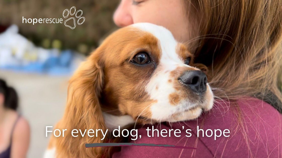 India Harding is fundraising for Hope Rescue