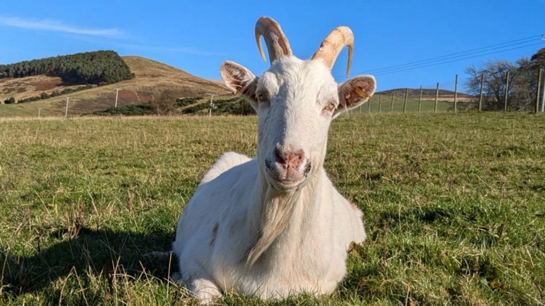 Braces For Ben - Help Him Live Out The Second Half Of His Life - JustGiving