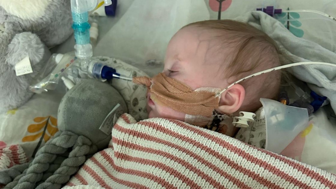 Amie Smith is fundraising for Tiny Tickers