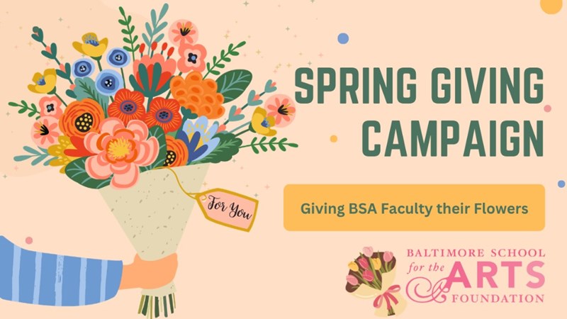 BSA Spring Giving Campaign - JustGiving