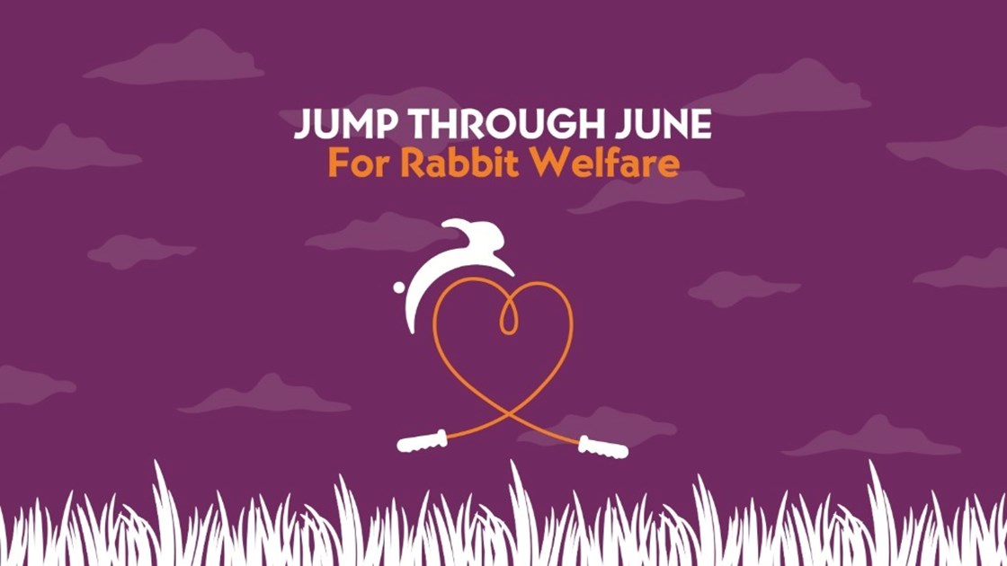 Jump Through June - JustGiving