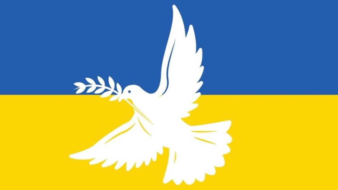 Toby Ranson is fundraising for New Forest For Ukraine