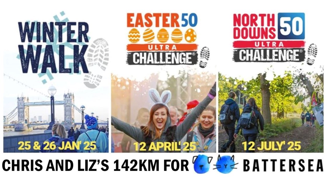 Liz Hoyle is fundraising for Battersea