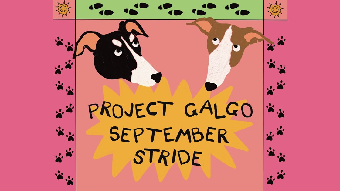 Project Galgo is fundraising for Project Galgo