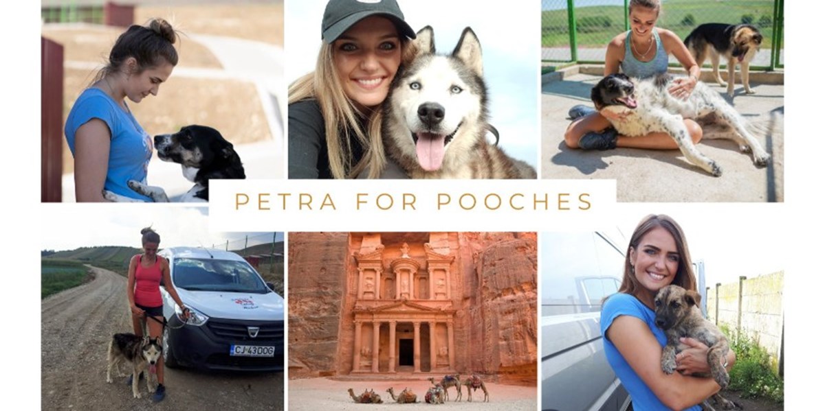 Miriam Gardner is fundraising for Amicii Dog Rescue