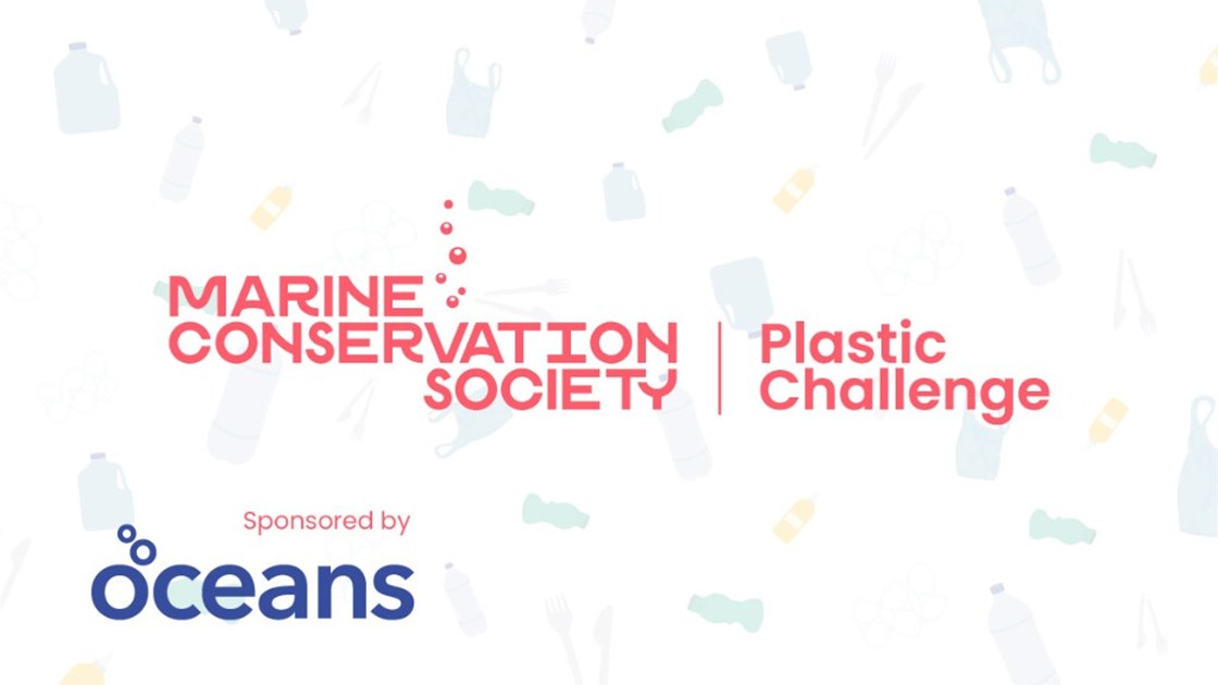 Plastic Challenge - JustGiving