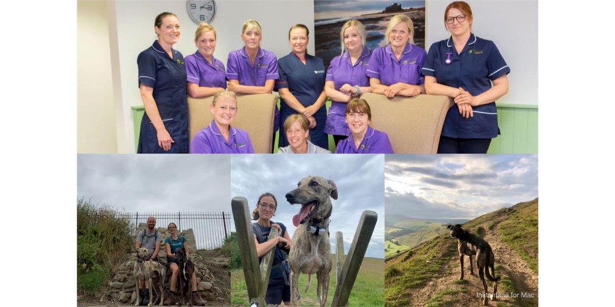 Alexandra Eavis is fundraising for HospiceCare North Northumberland