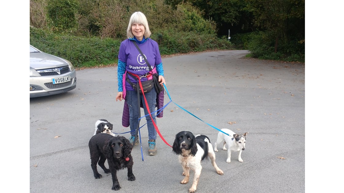 Sue Hamer-Moss is fundraising for Pancreatic Cancer UK