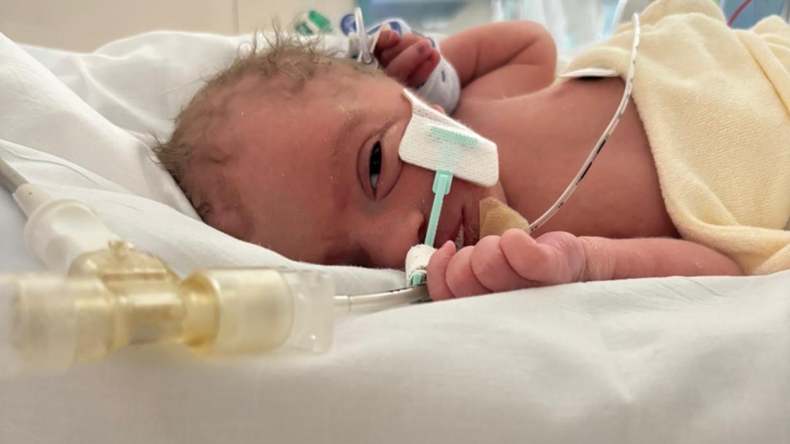 Tasha Parks is fundraising for Bliss