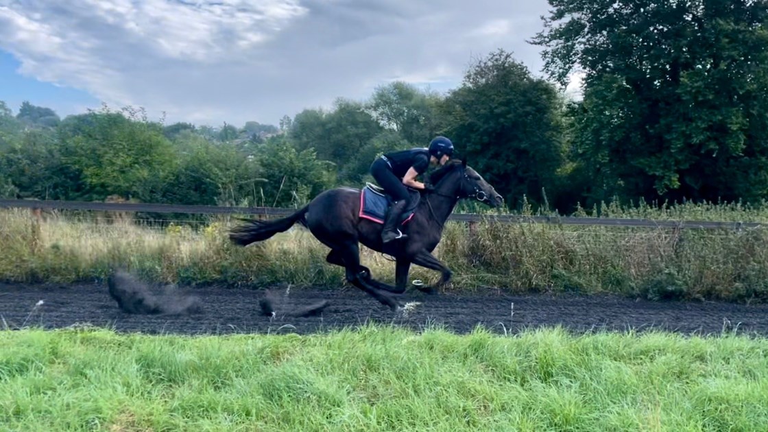 Claudia Gilbert is fundraising for British Horse Society