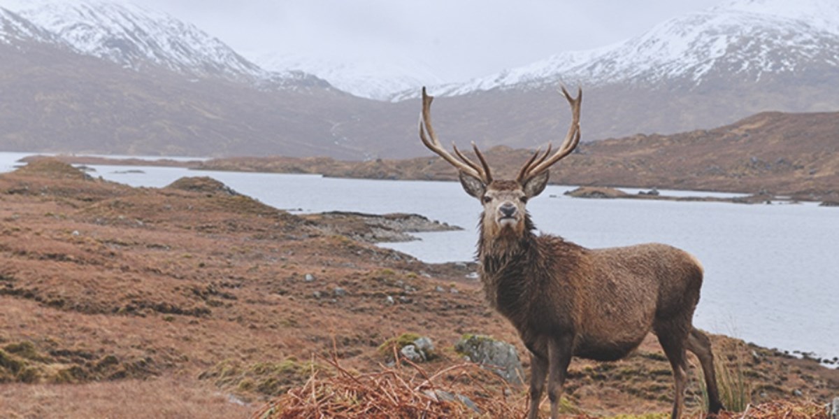 Leon Pisani is fundraising for Diabetes UK