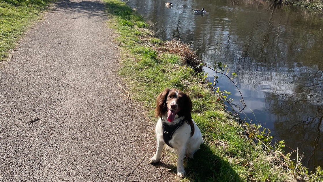 Susan Hanna-penrose is fundraising for Cure Parkinson’s