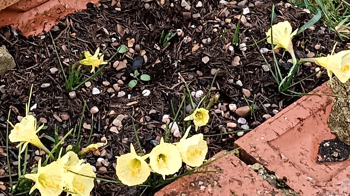 Angus Ager is fundraising for Wessex Cancer Support