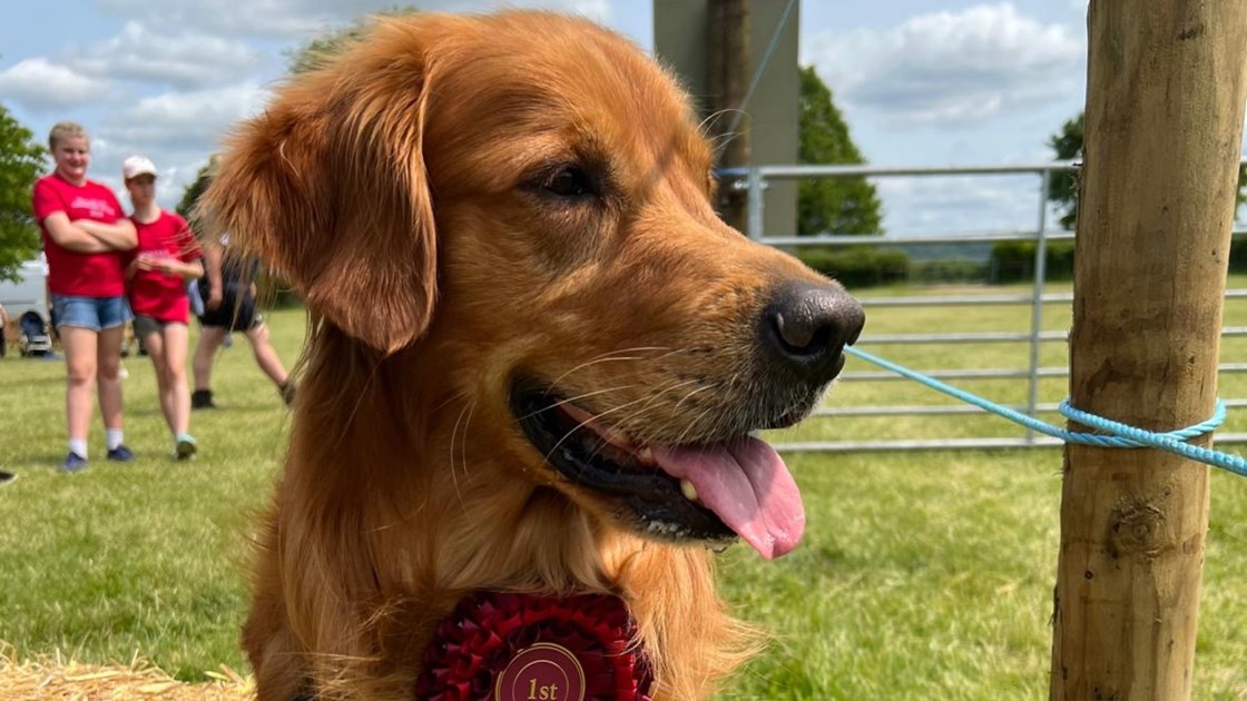 Samuel Farley is fundraising for Place2Be