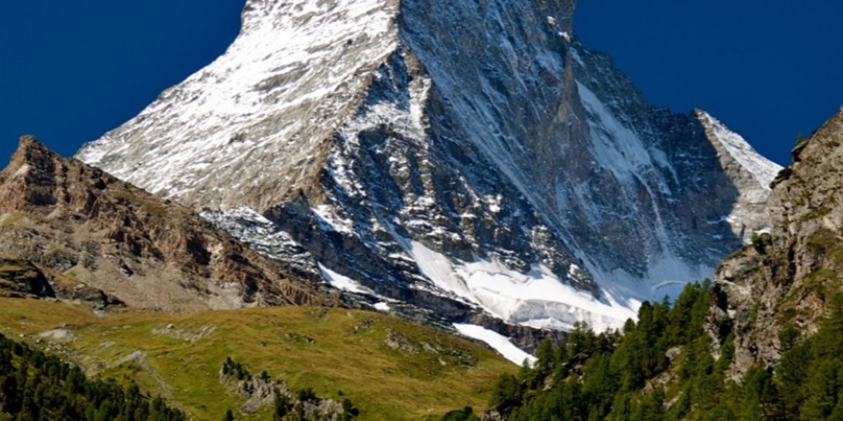 Ellie Gooch is fundraising for Alzheimer's Society