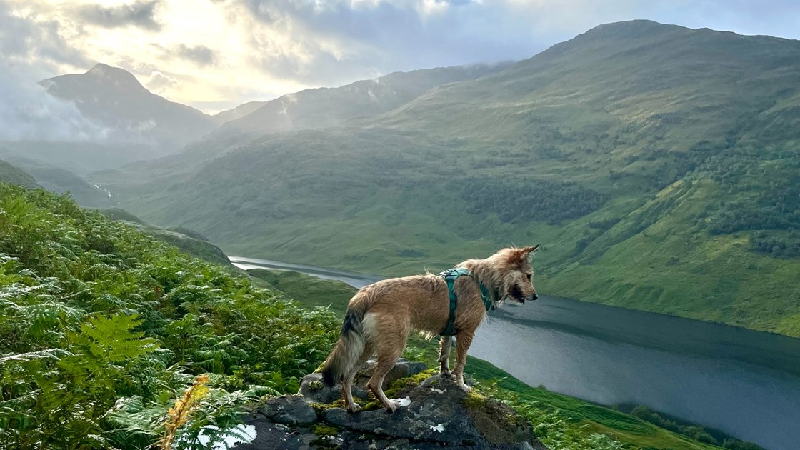 The Team at Nicki Souter Associates is fundraising for PADS