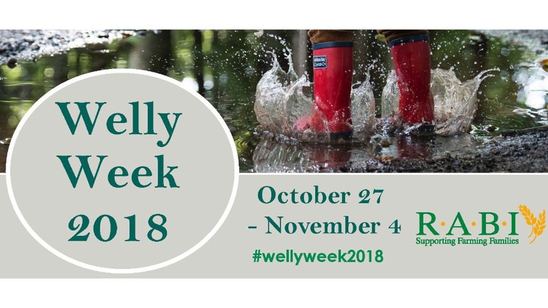 Welly Week 2018 - JustGiving