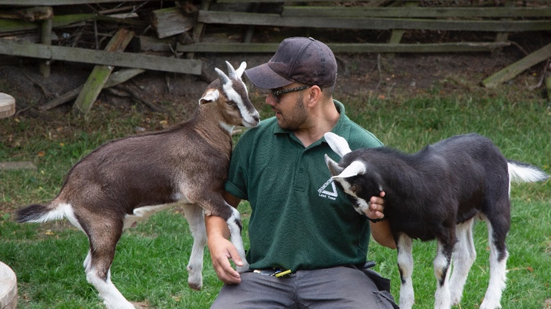 Jarrow Hall Animal Appeal - JustGiving