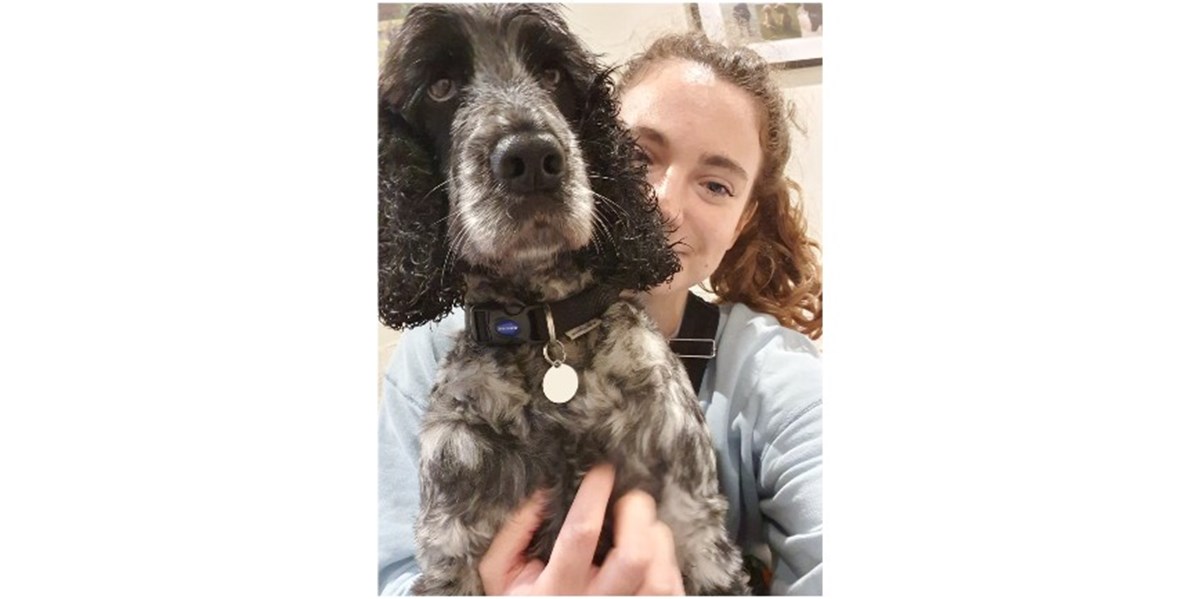 Tasha Stones is fundraising for Hearing Dogs For Deaf People