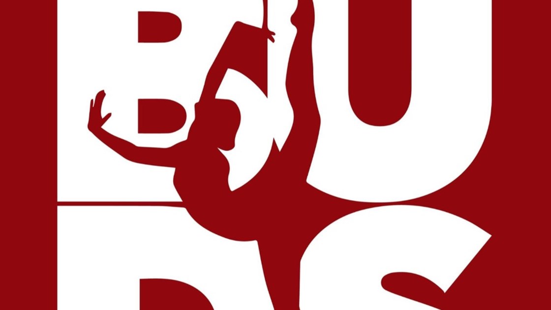 BUDS Show 2026 - JustGiving