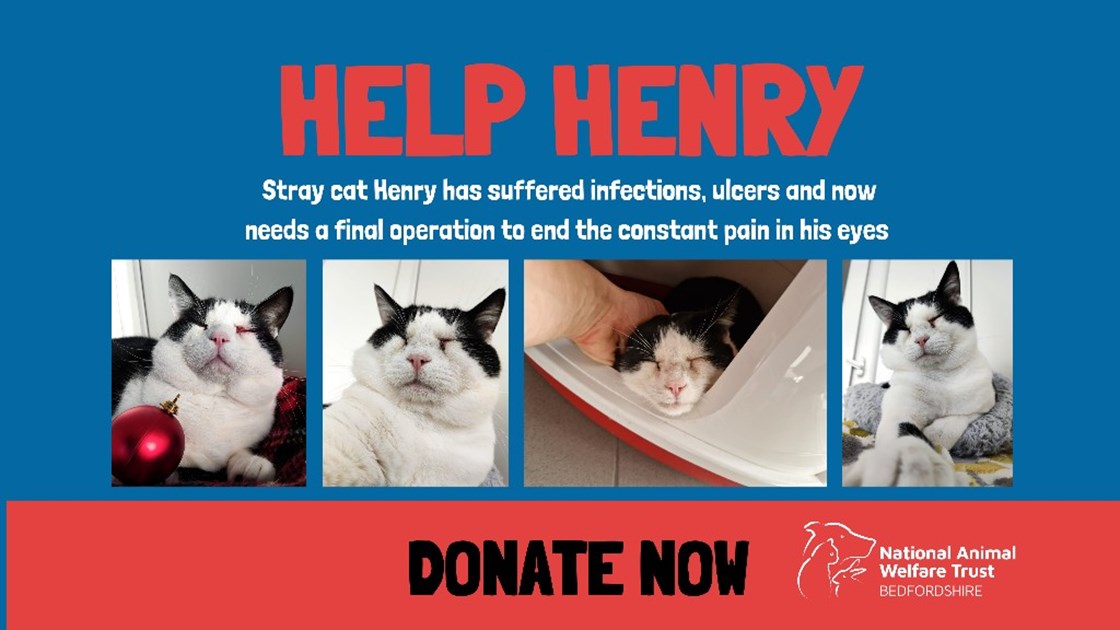 Help Henry - JustGiving
