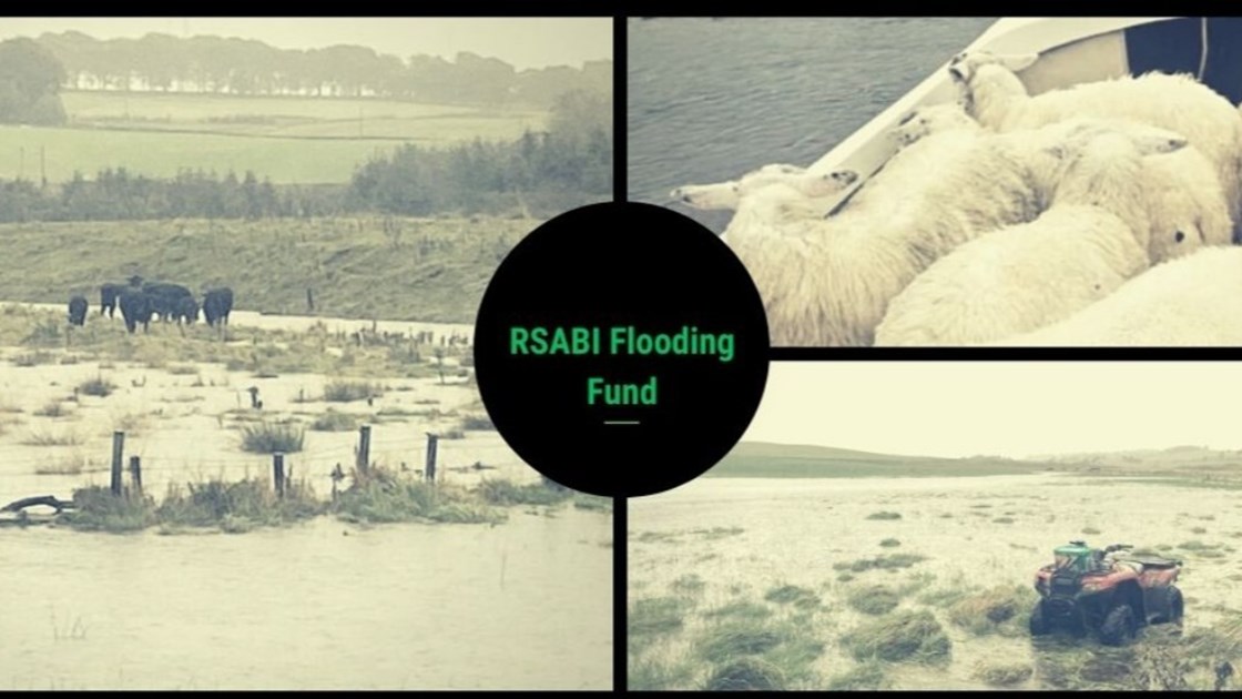 RSABI Flooding Fund - JustGiving
