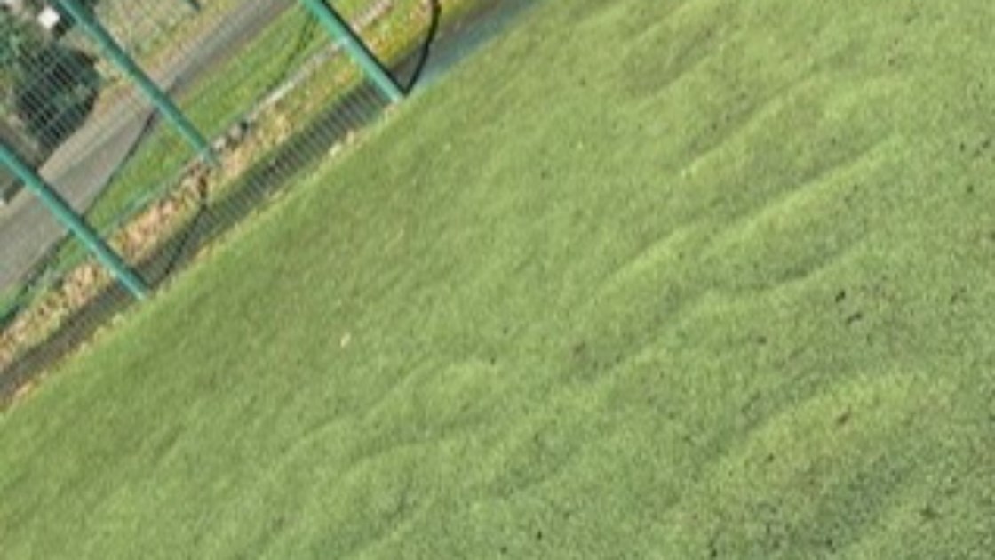 St Thomas's School MUGA - JustGiving